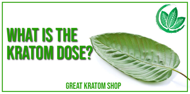 Kratom dosage: How much kratom powder you should take? - Great Kratom Shop